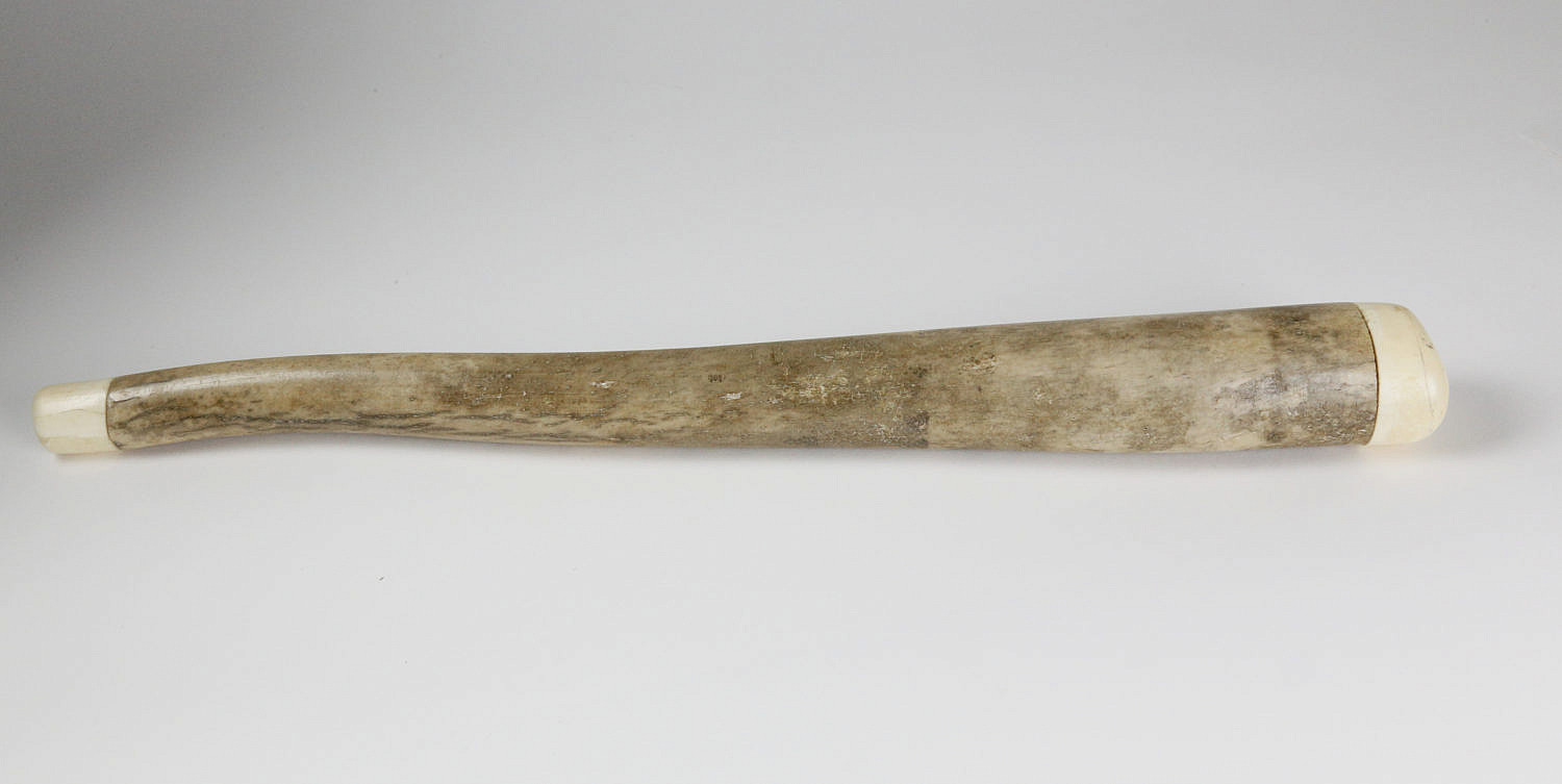 Ancient Walrus Penile Bone Oosik 19th Century - Ancient Walrus Penile ...